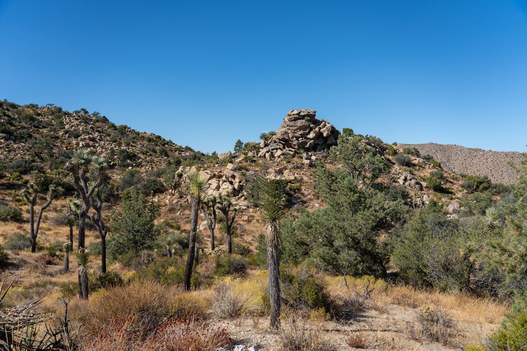 California Riding and Hiking Trail — Sam Soffes